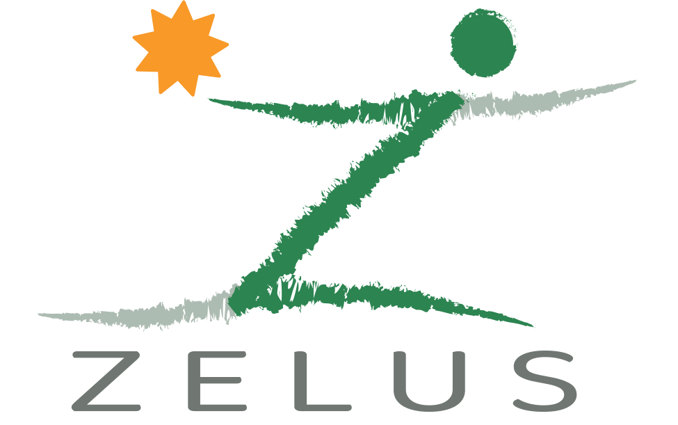 How Accurate Is the WBGT Reading With the Zelus Wbgt App? | Zelusports Knowledge Base